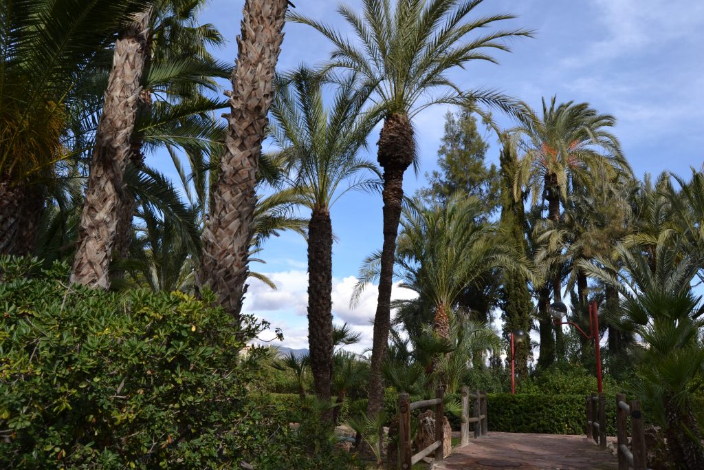 5 lugares que no puedes dejar de visitar en Albatera - Albatera Actualidad