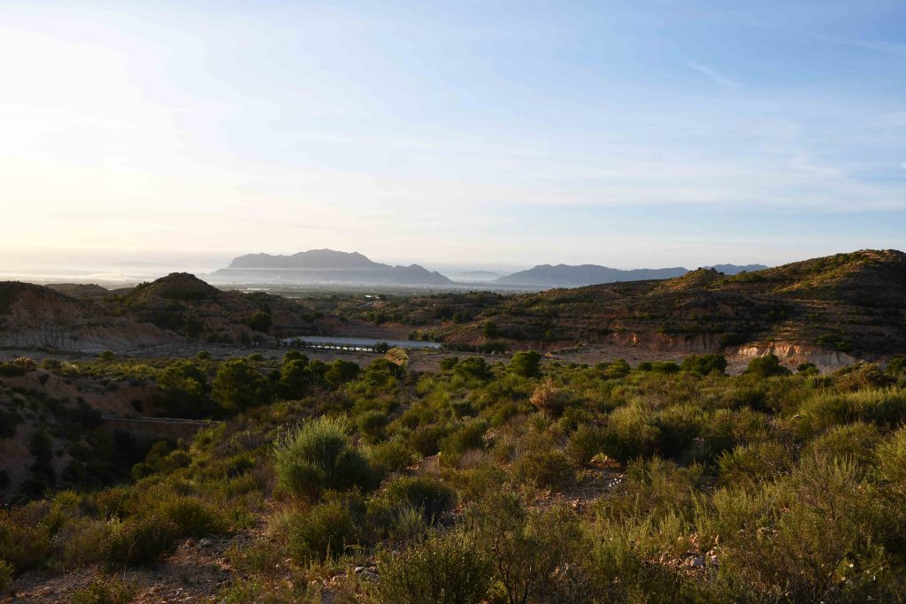 - Albatera Actualidad