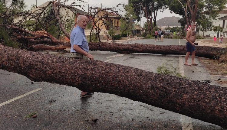 tormenta vega baja 9 septiembre 2025 - Albatera Actualidad